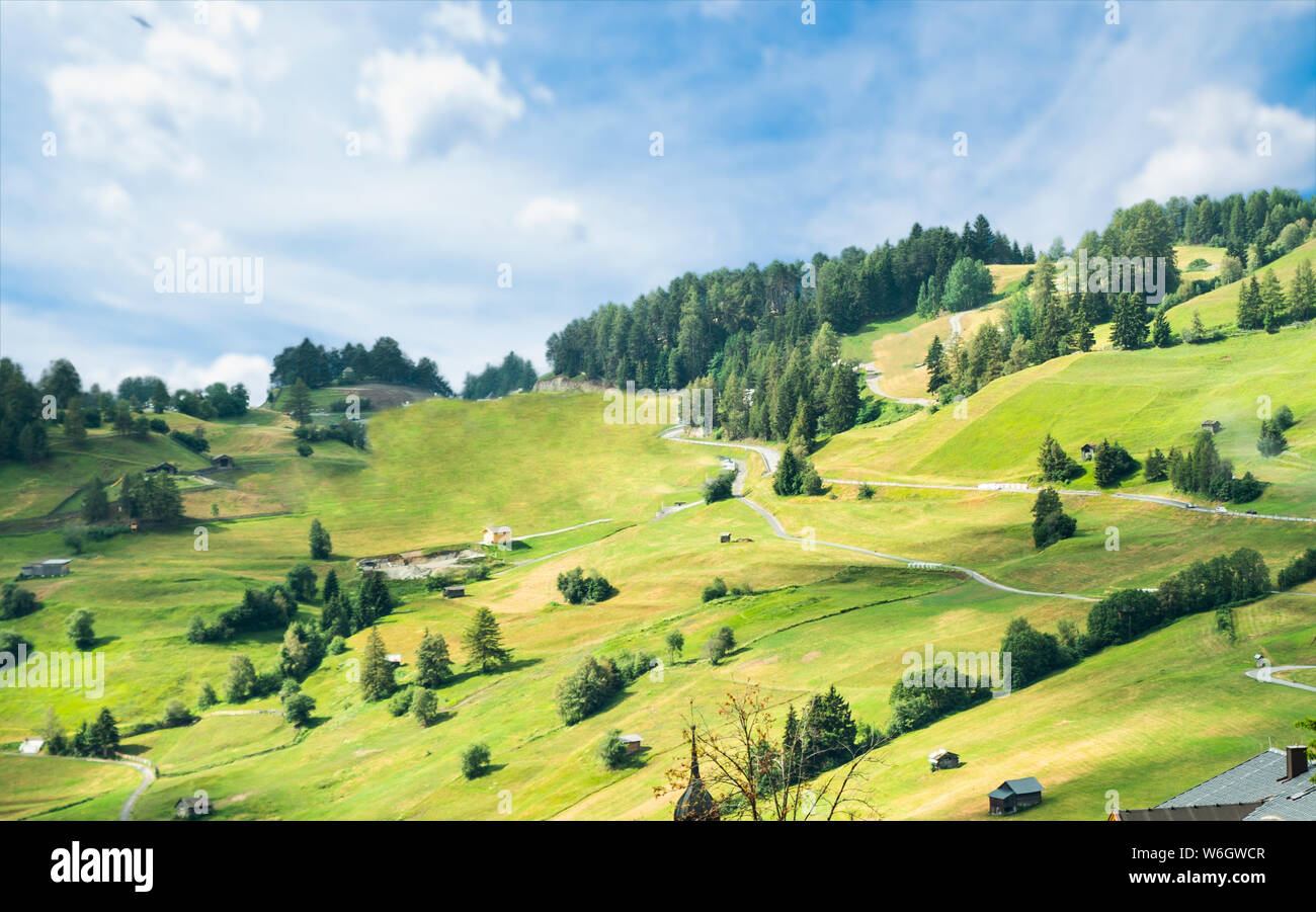 Alpine Pastures And Fir Trees In Austria, Alps Stock Photo - Alamy