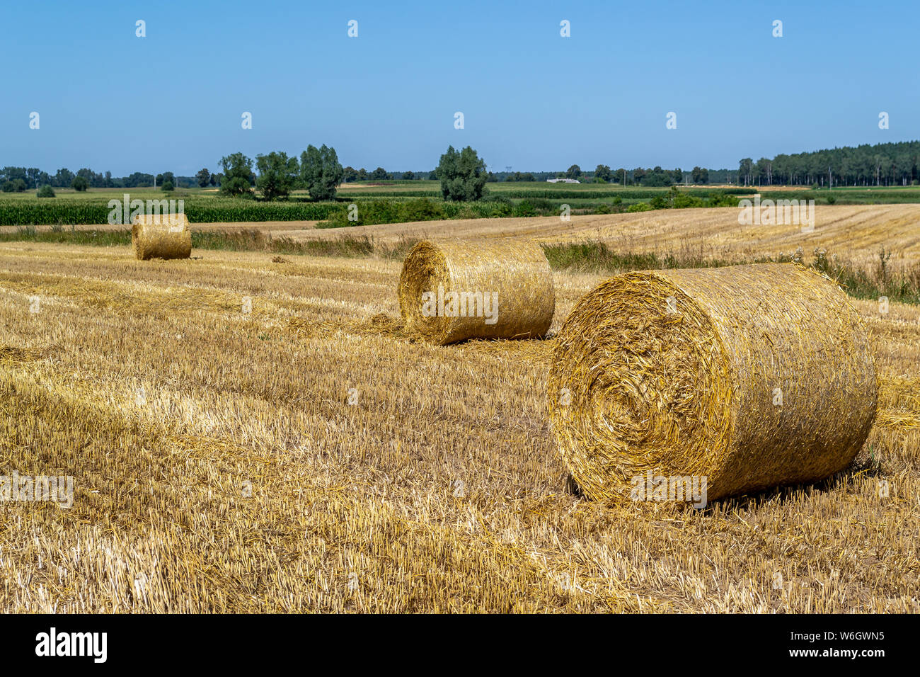 Cornfields from above hi-res stock photography and images - Alamy