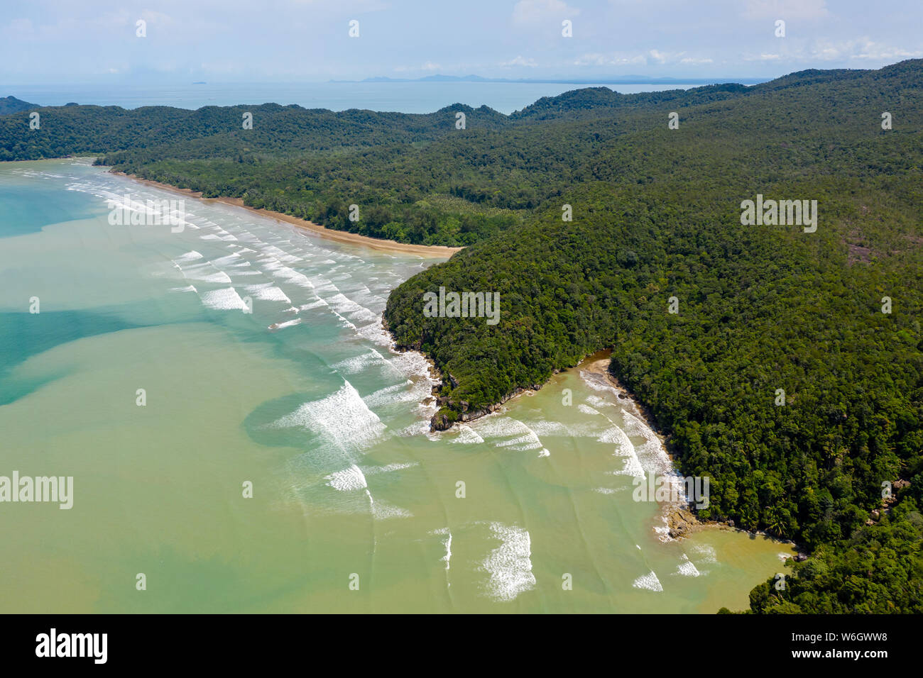 Coastal Rainforest Stock Photos & Coastal Rainforest Stock Images - Alamy