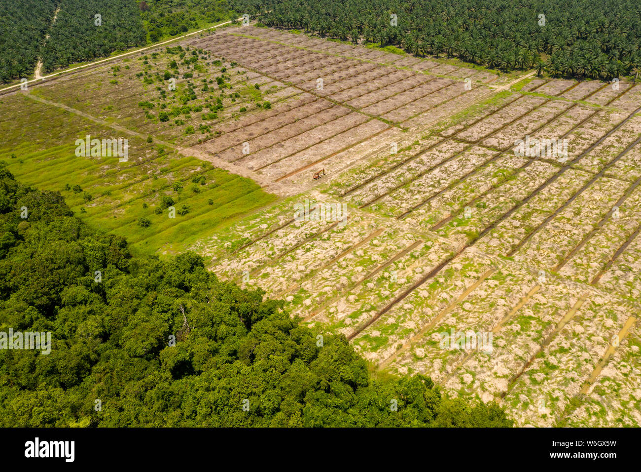 Aerial drone view of large scale deforestation in the rainforest of ...