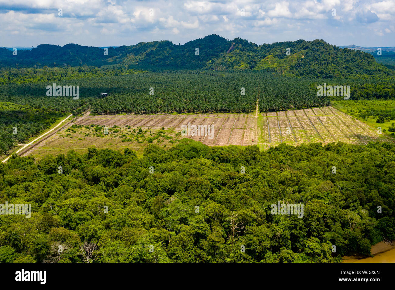 Aerial drone view of large scale deforestation in the rainforest of ...