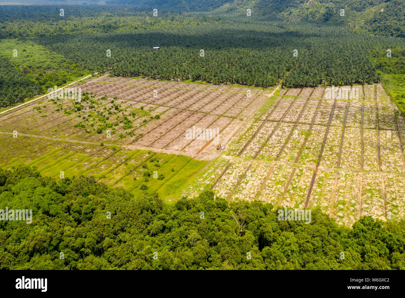 Aerial drone view of deforestation in a tropical rainforest to make way ...
