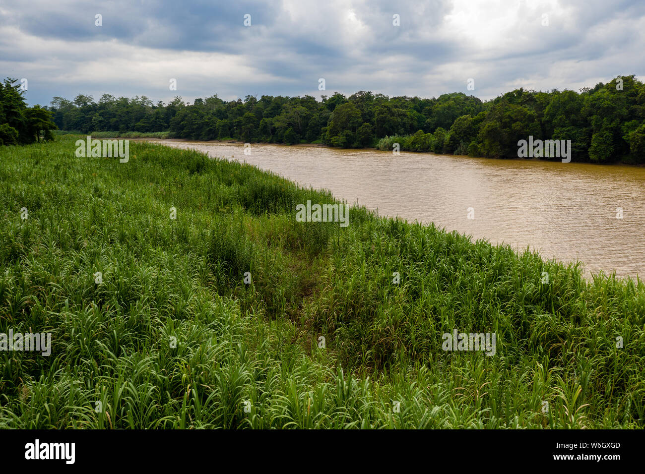 Winding river borneo hi-res stock photography and images - Alamy
