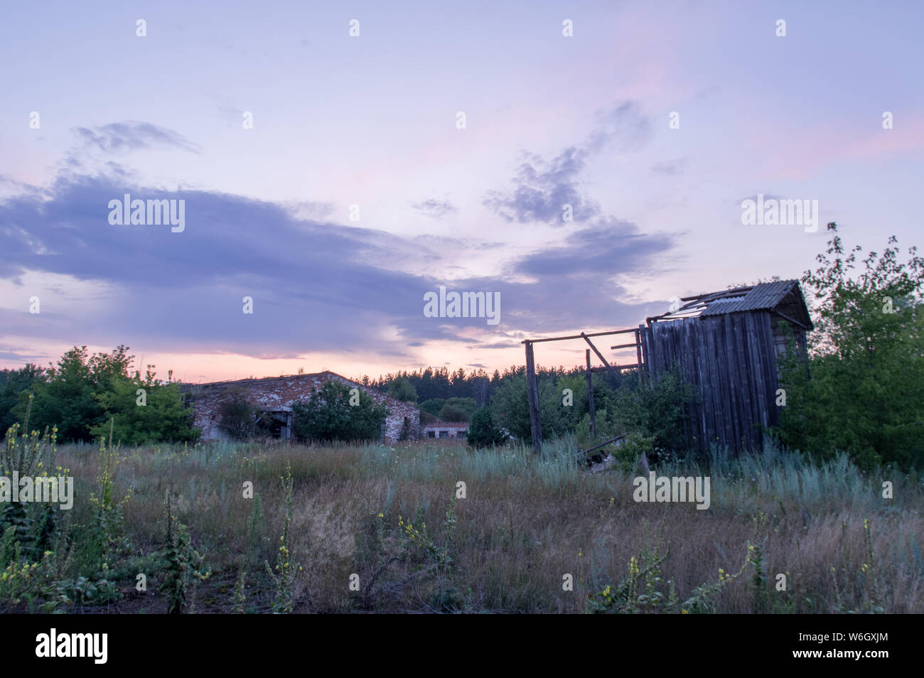 Old decayed premises in the Chernobyl zone. Overgrown houses in ...