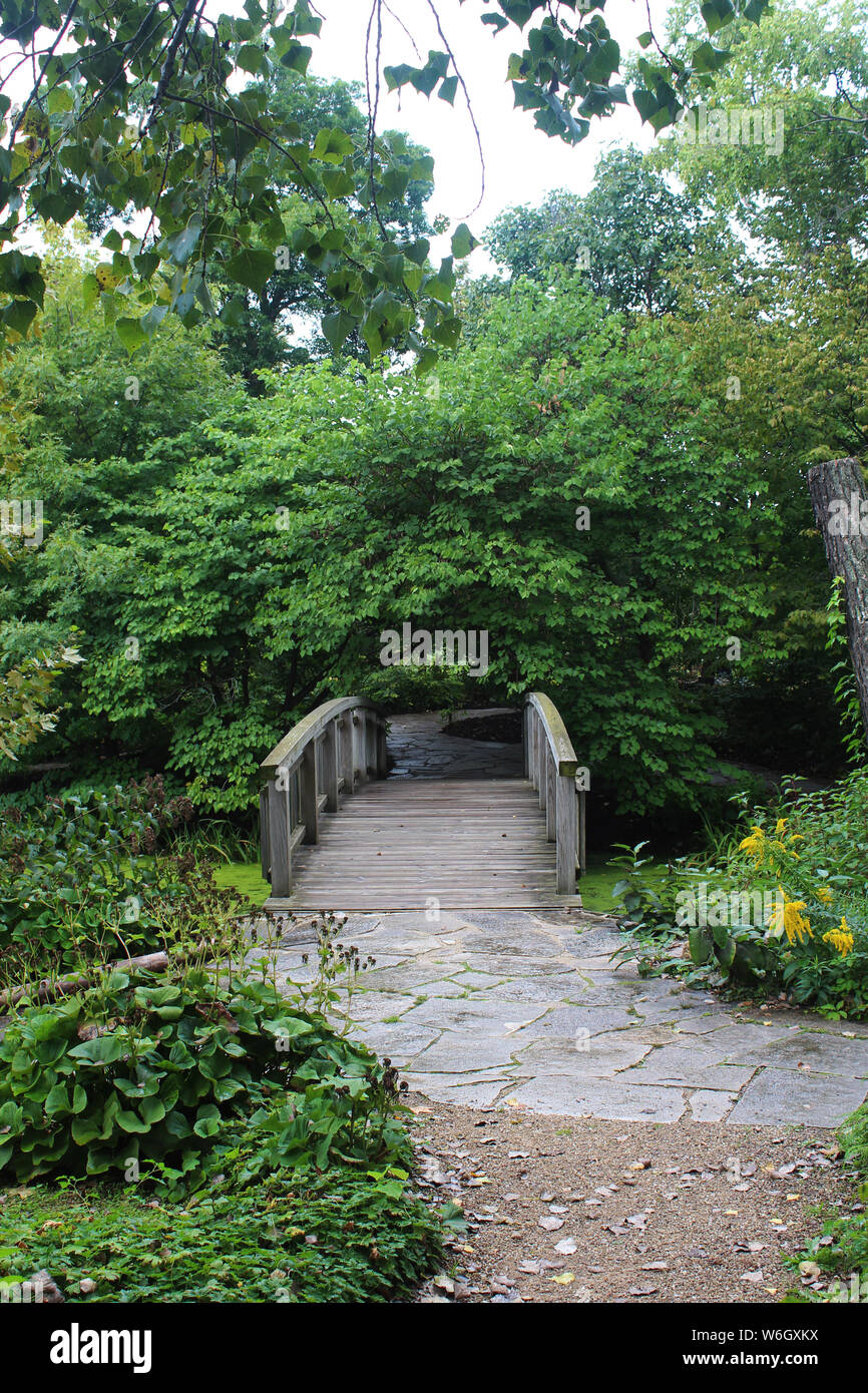 A stone path leading to a wooden bridge across a pond in a tree lined ...