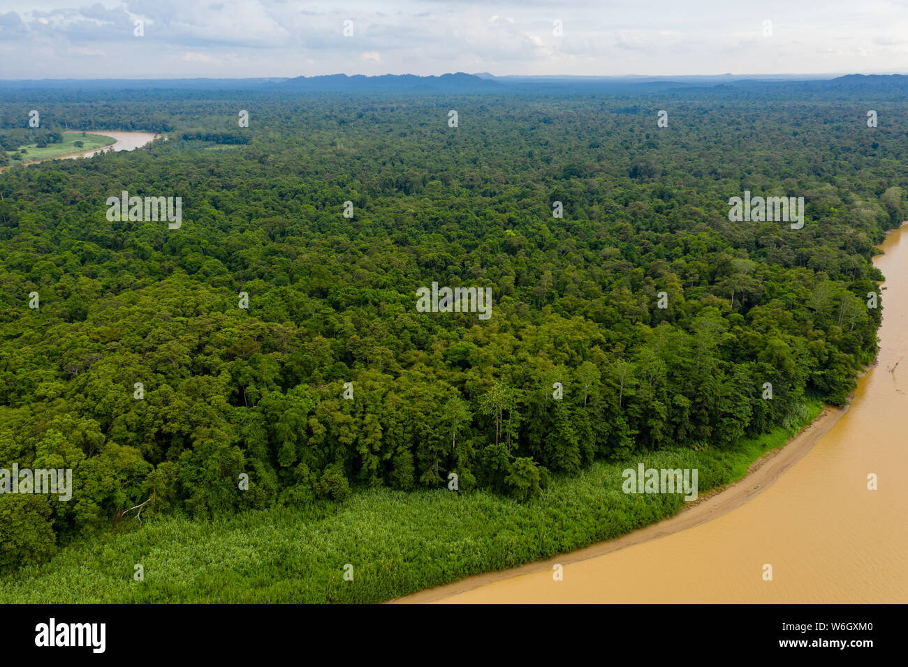 Aerial drone view of a long winding river through a tropical rain ...