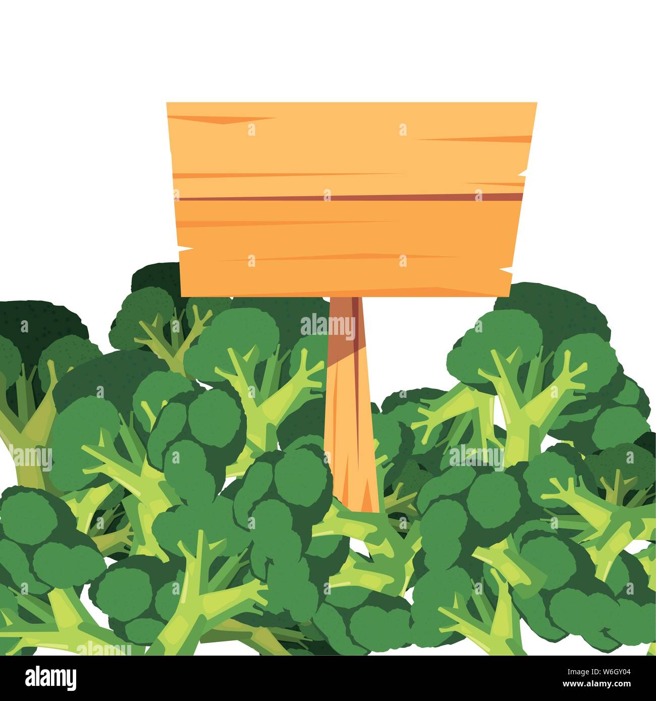 broccoli fresh vegetable farm wooden placard vector illustration Stock ...