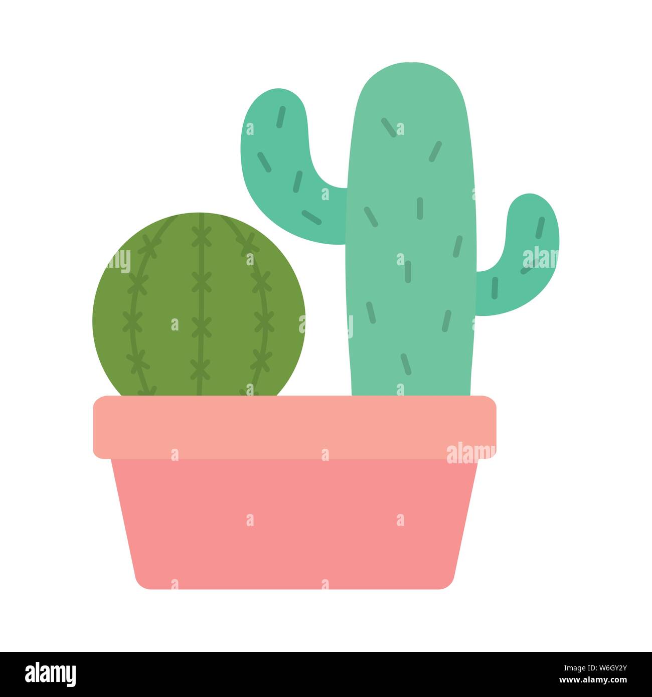 exotic cactus plants in square ceramic pot vector illustration design ...