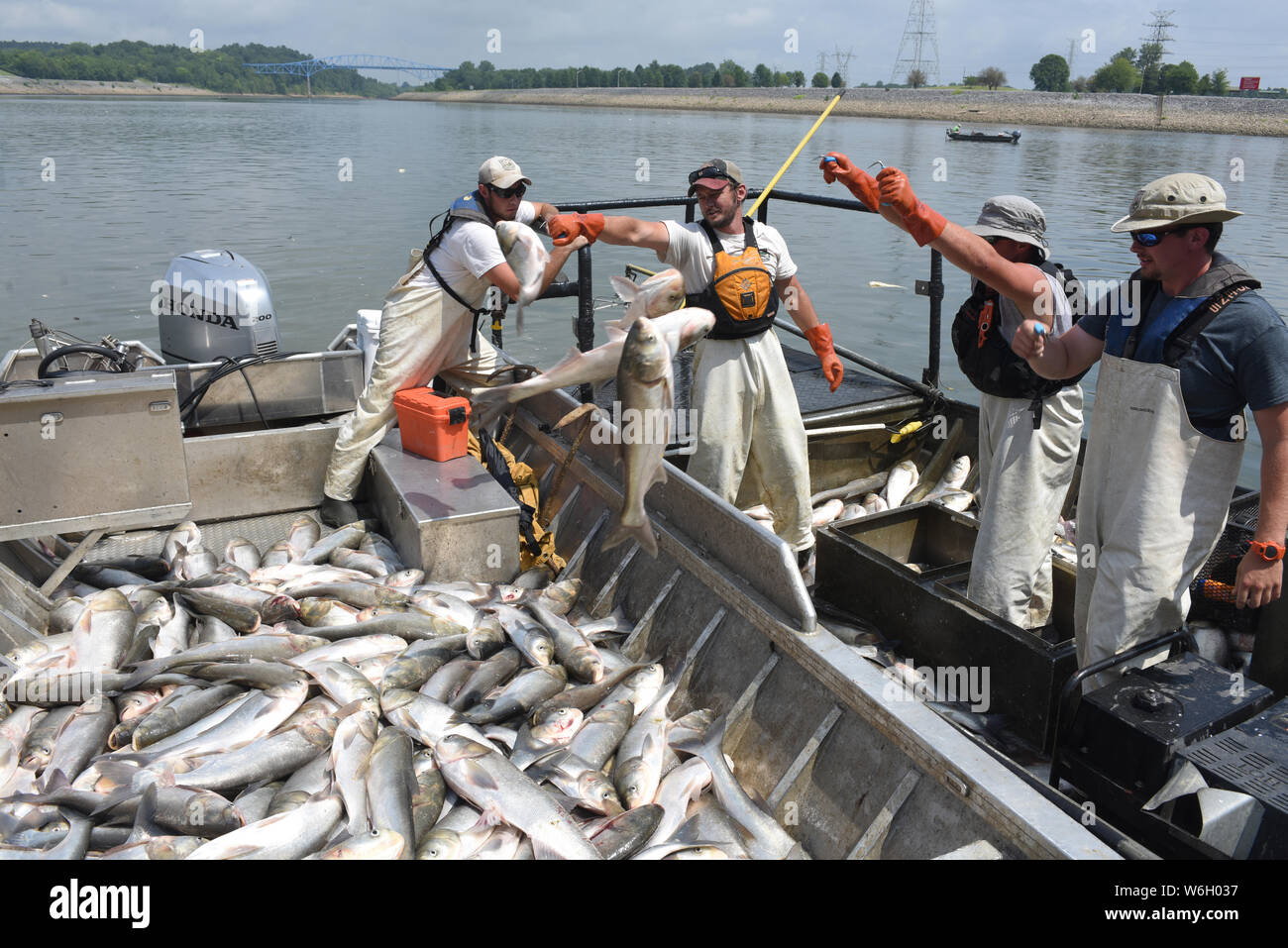Bio acoustic fish fence hi-res stock photography and images - Alamy