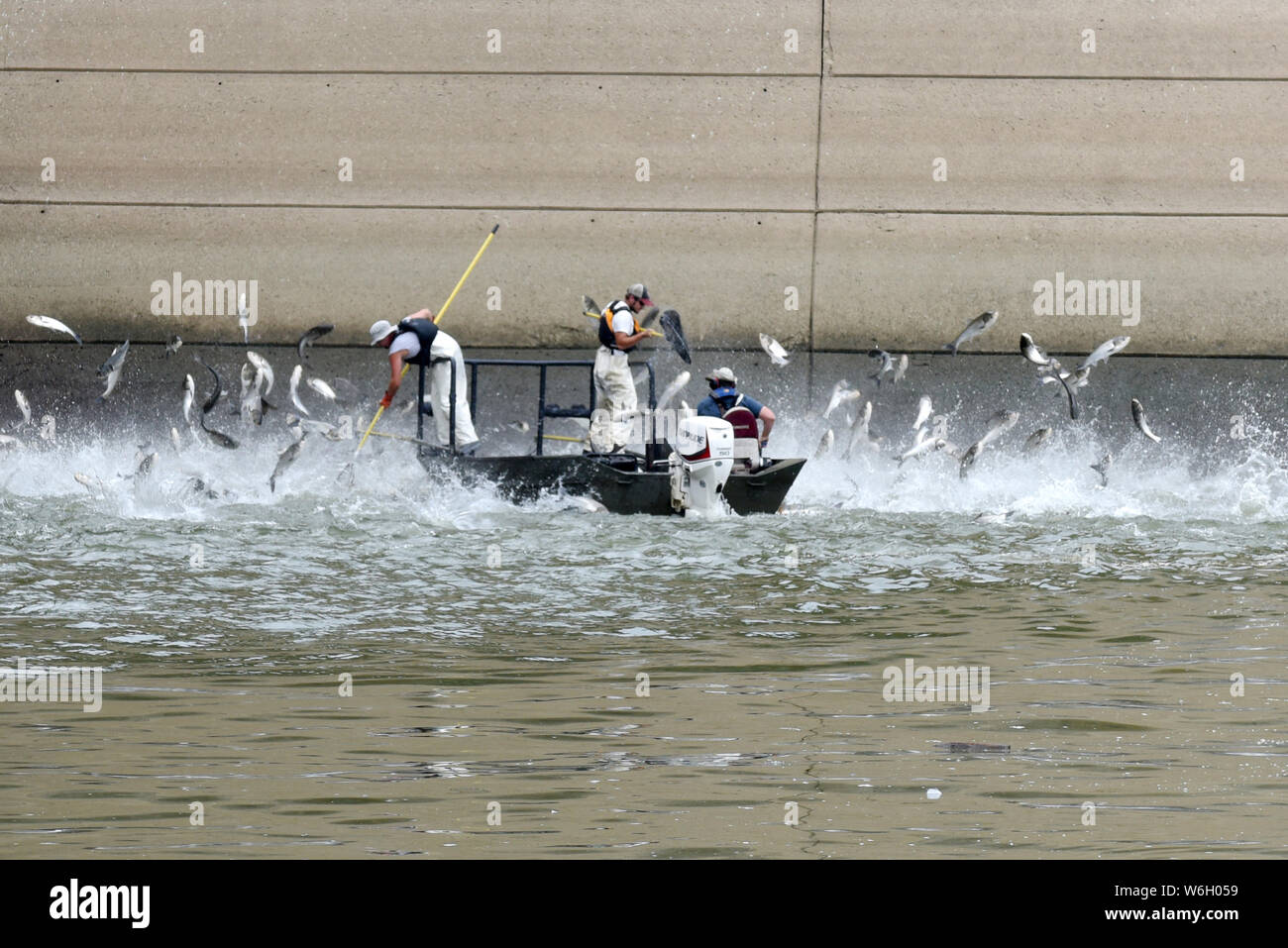 Bio acoustic fish fence hi-res stock photography and images - Alamy