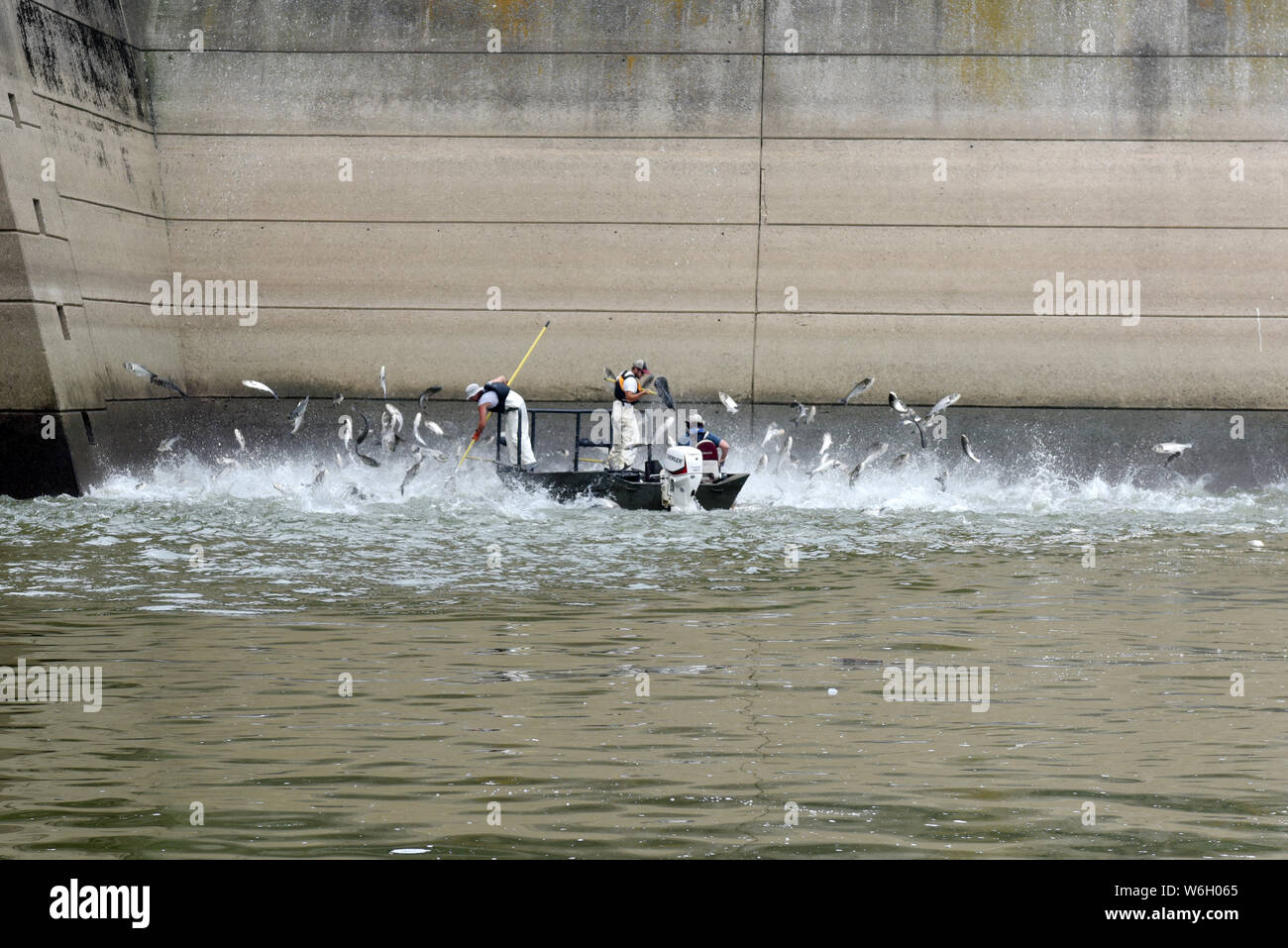 Bio acoustic fish fence hi-res stock photography and images - Alamy
