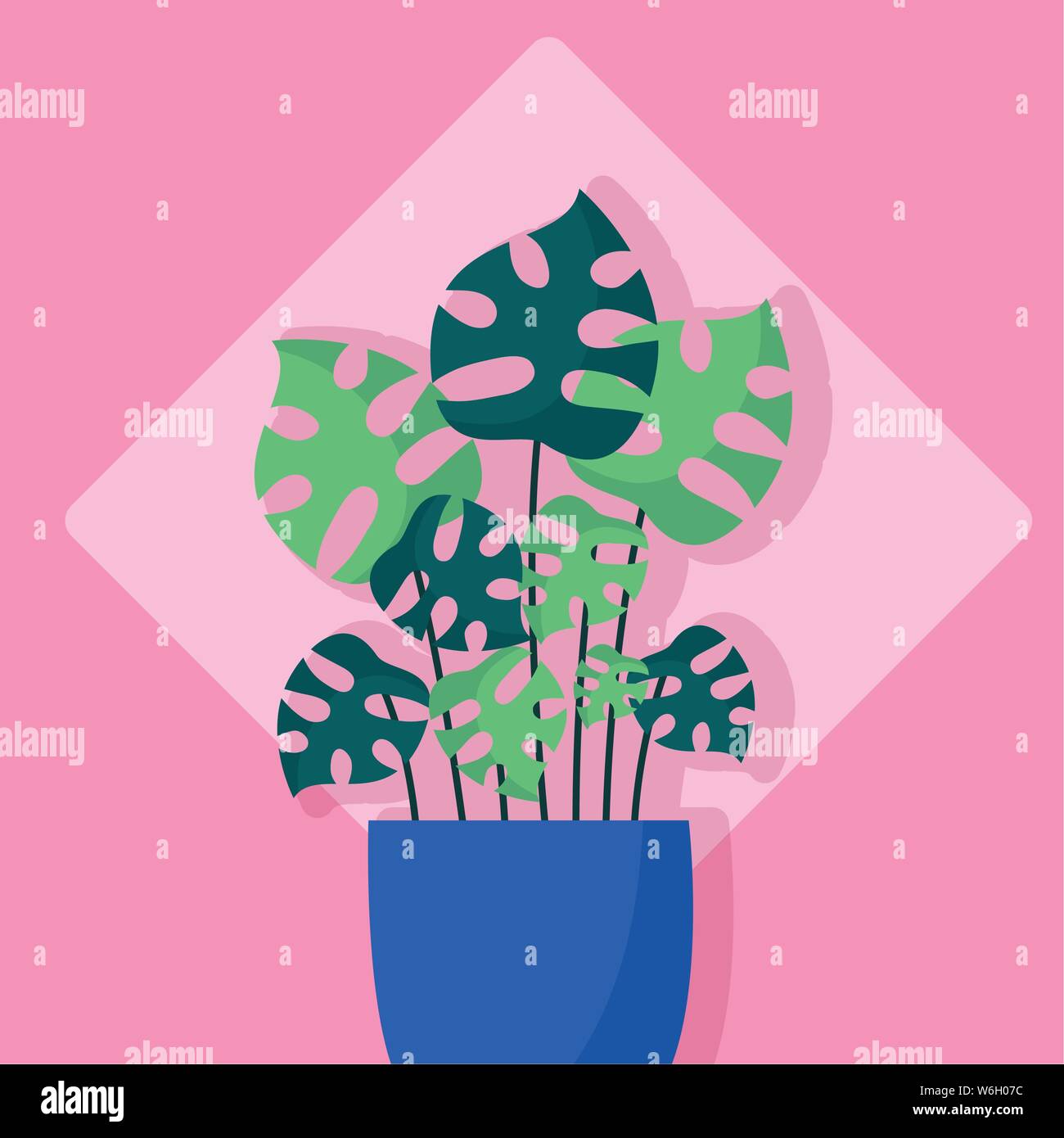 decorative plants flat image design Stock Vector Image & Art - Alamy