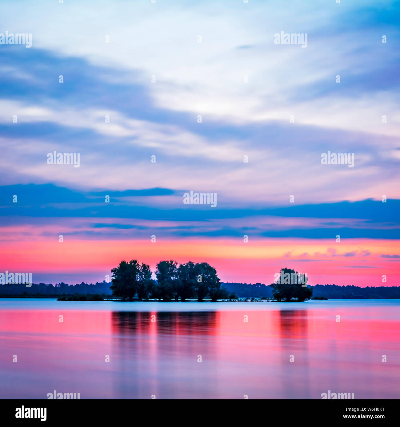 Trees on the water Stock Photo - Alamy