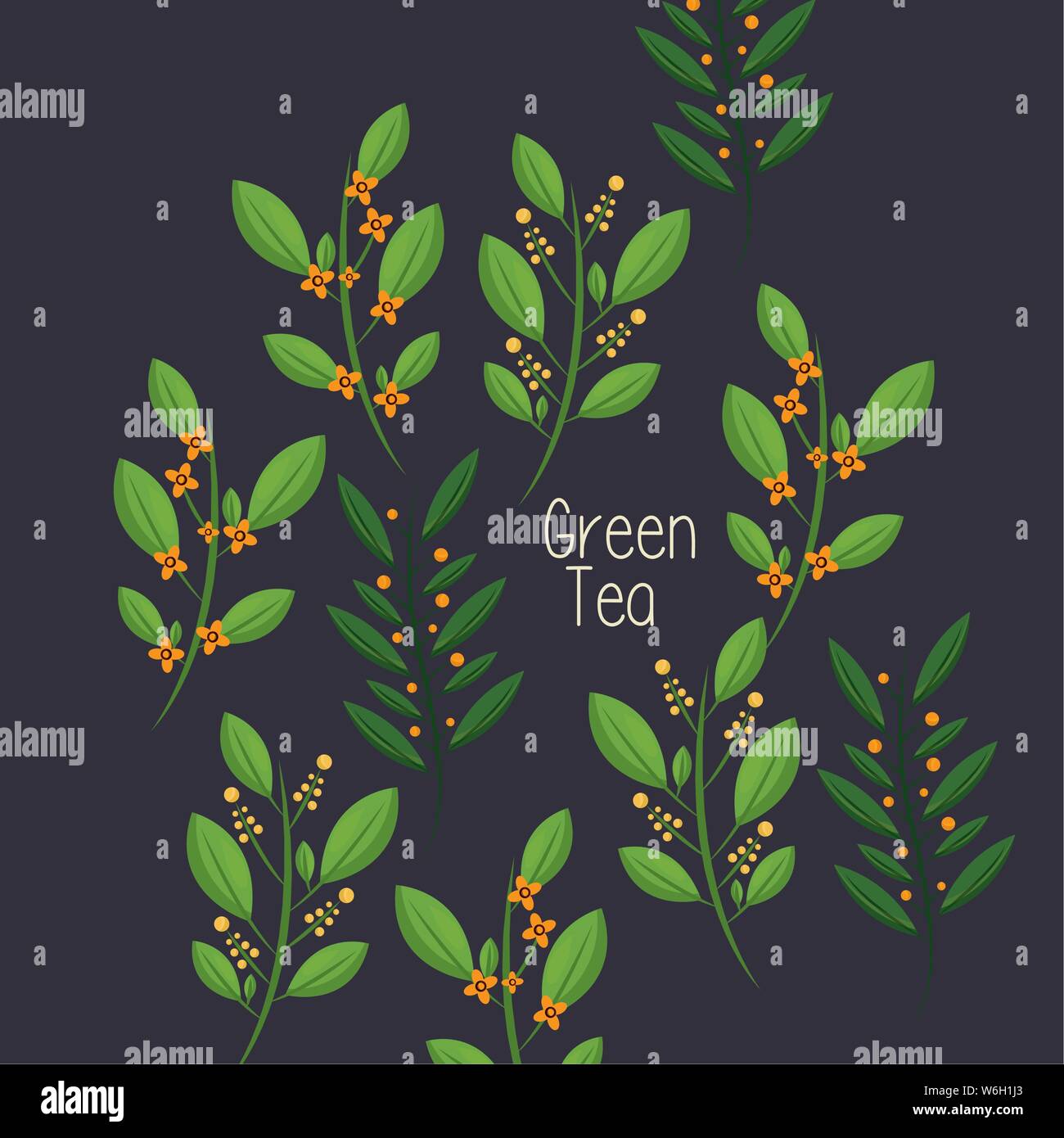 Green tea leaves vector design Stock Vector Image & Art - Alamy
