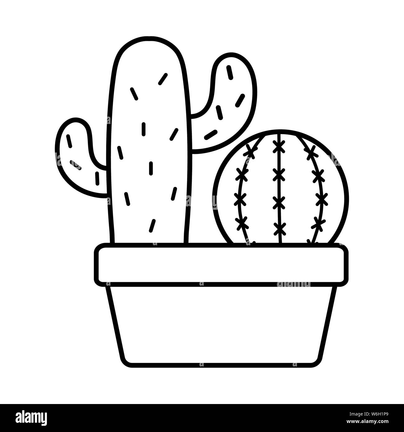 exotic cactus plants in square ceramic pot vector illustration design ...