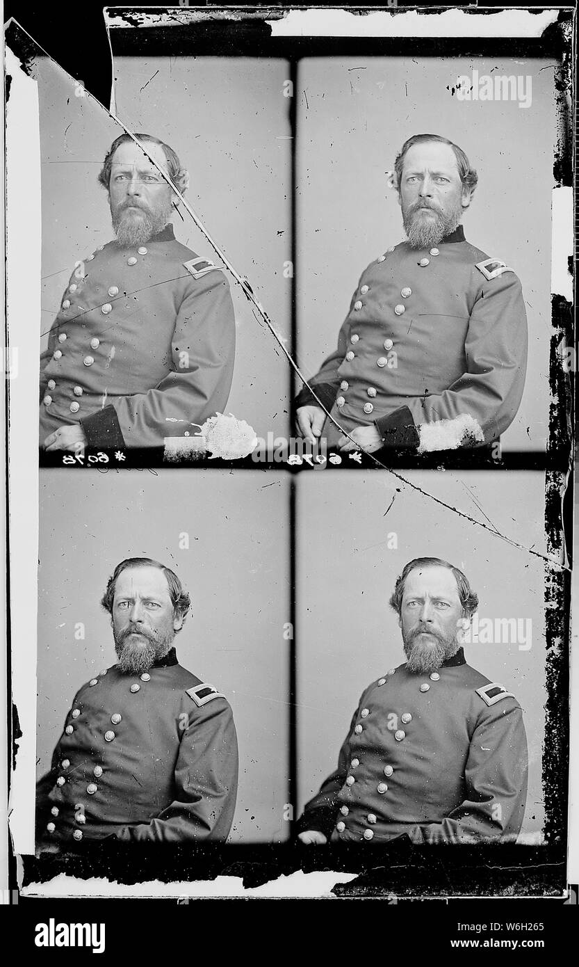 Zook hi-res stock photography and images - Alamy