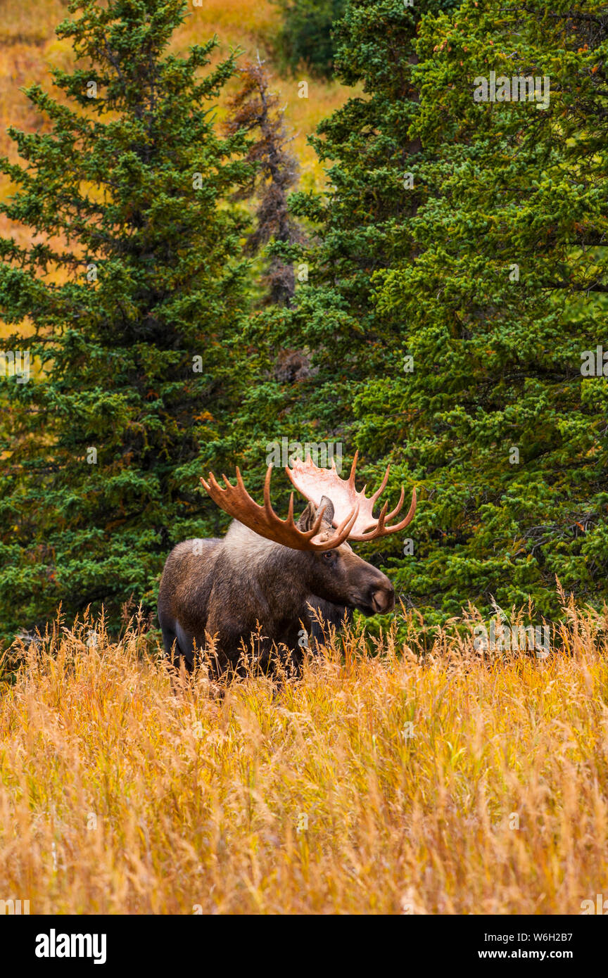 Powerline pass hi-res stock photography and images - Alamy