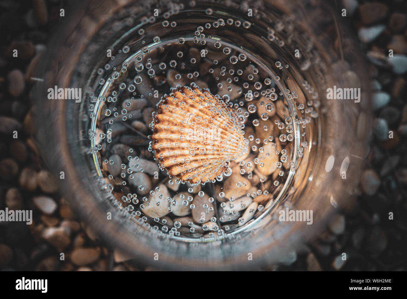 High angle view of sea shell in sparkling water multiple bubbles Stock ...