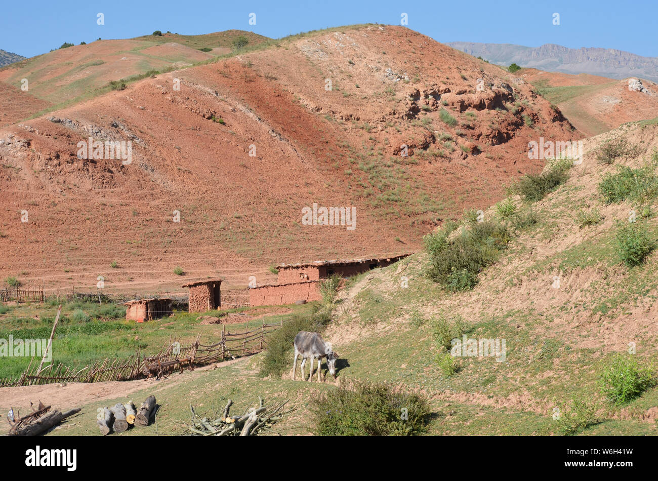 Farm animals and human relations hi-res stock photography and images ...