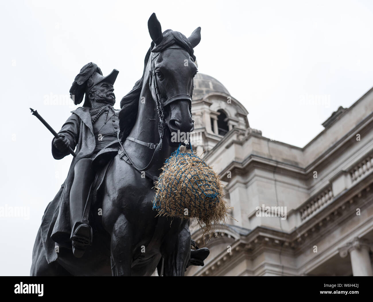 Duke of cambridge statue in whitehall hi-res stock photography and ...