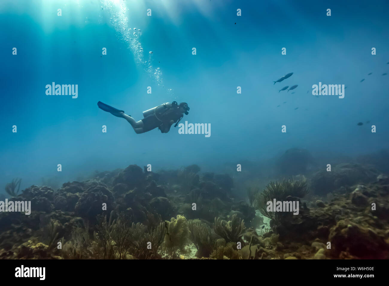 Underwater cemetery hi-res stock photography and images - Alamy