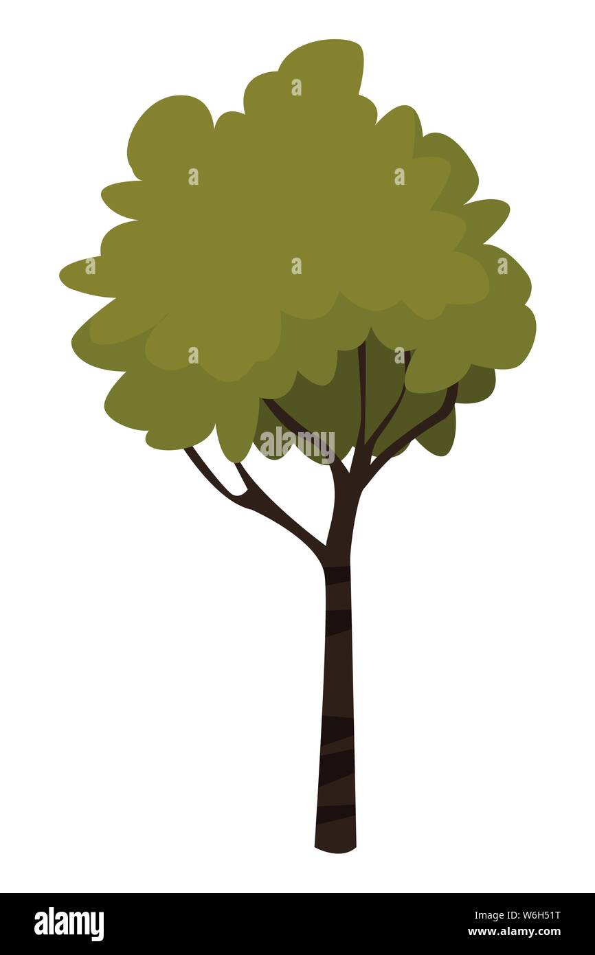 Nature tree with leaves isolated cartoon Stock Vector Image & Art - Alamy