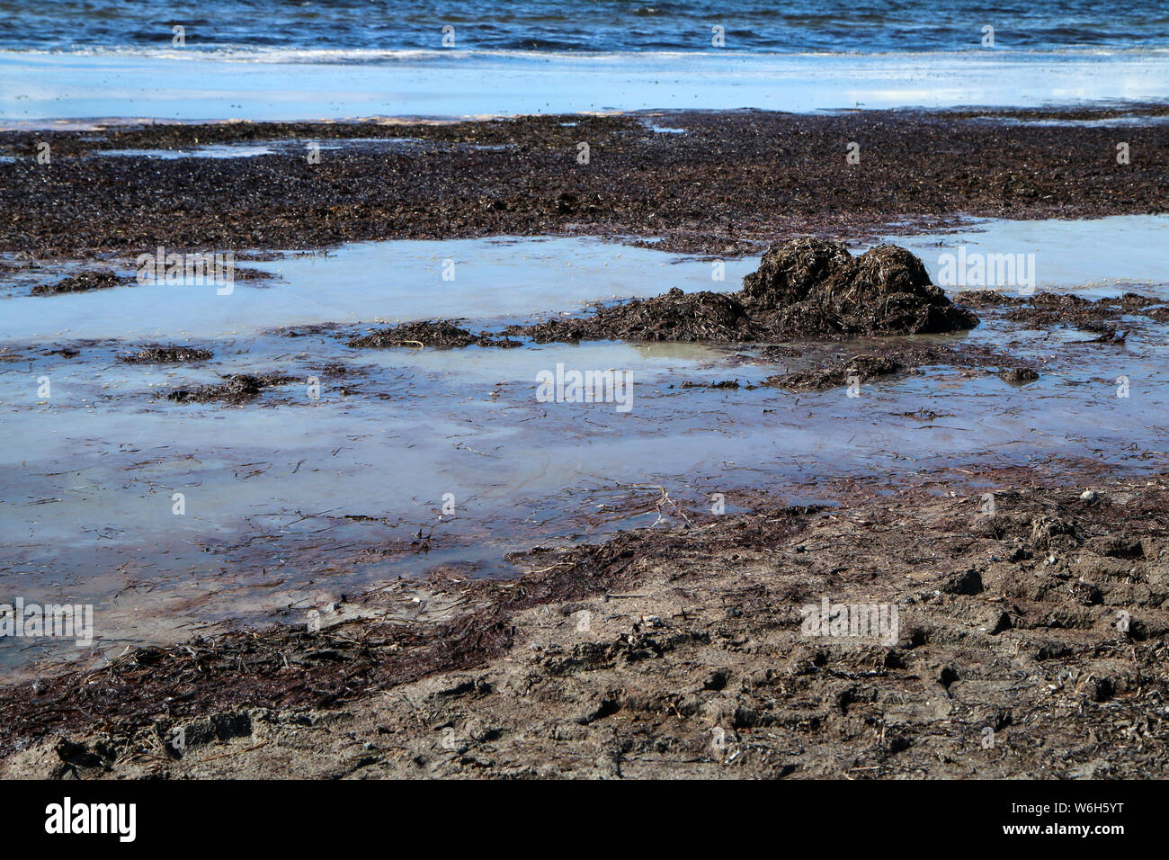 Smelly water hi-res stock photography and images - Alamy