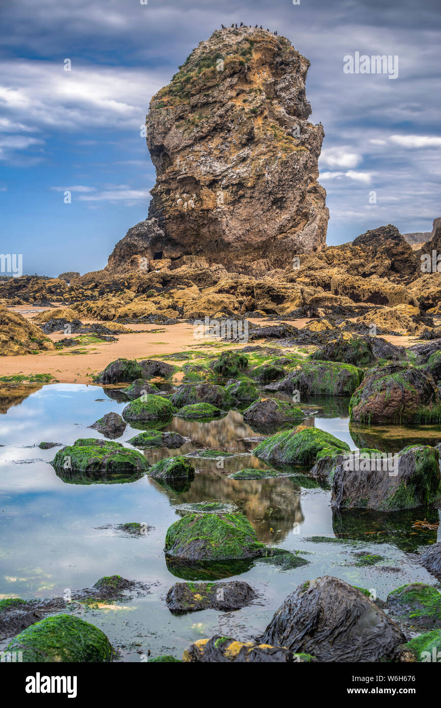 Sea Stack with rocks in tide pools at Marsden Bay off the North East ...