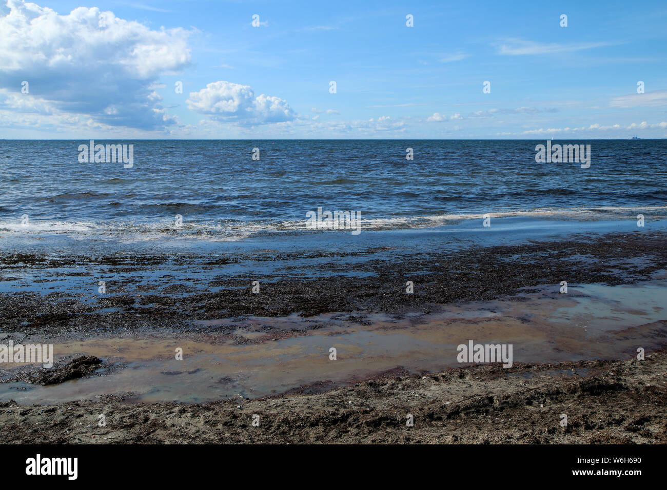 Smelly water hi-res stock photography and images - Alamy