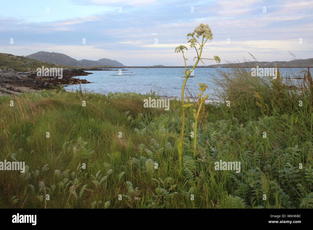 Causeway From Eriskay South Uist High Resolution Stock Photography and ...