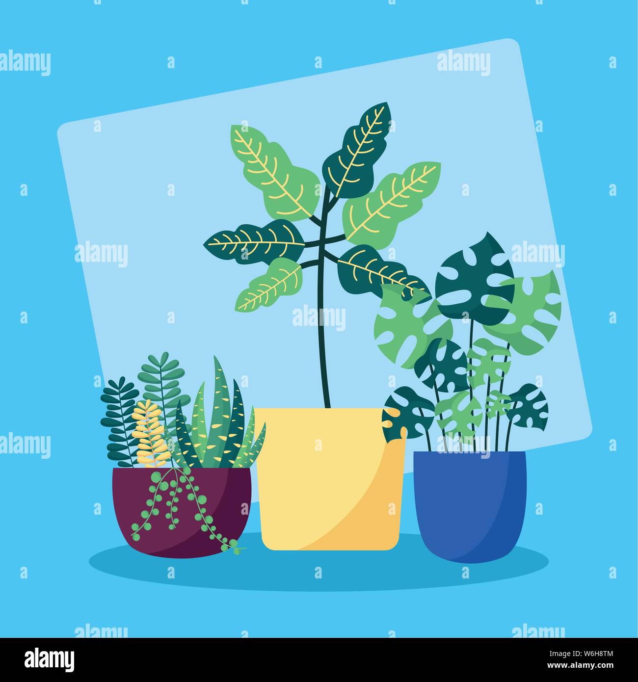 decorative plants flat image design Stock Vector Image & Art - Alamy