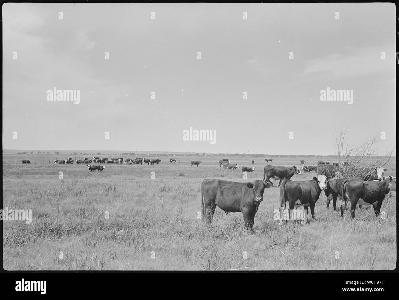 Granada farm Black and White Stock Photos & Images - Alamy