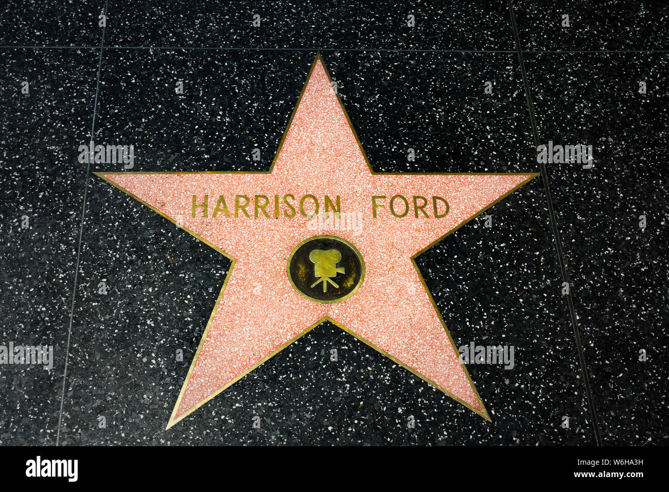 Celebrity Star on the Hollywood Walk of Fame Stock Photo - Alamy
