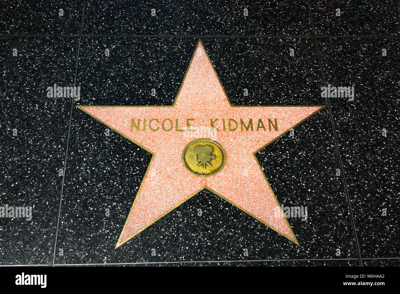 Celebrity Star on the Hollywood Walk of Fame Stock Photo - Alamy
