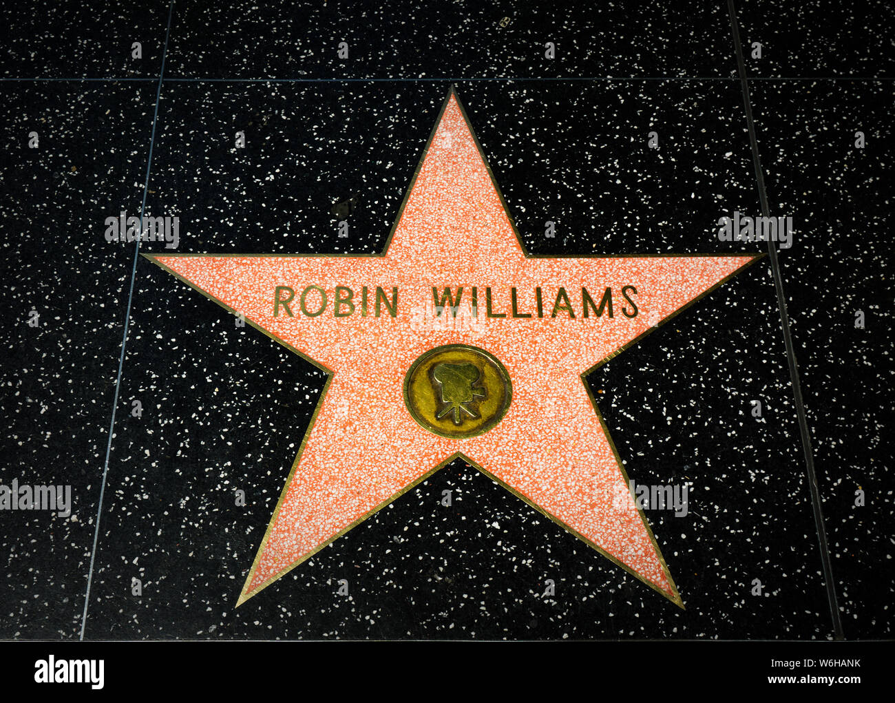 Celebrity Star on the Hollywood Walk of Fame Stock Photo - Alamy