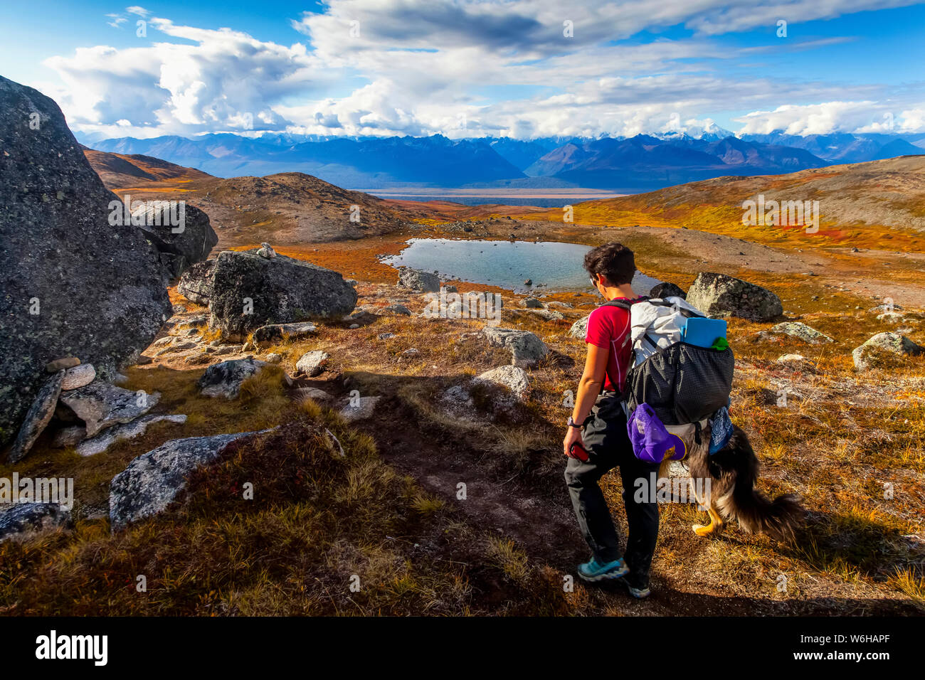 Woman backpacker and her dog backpacking on the Kesugi Ridge Trail in ...