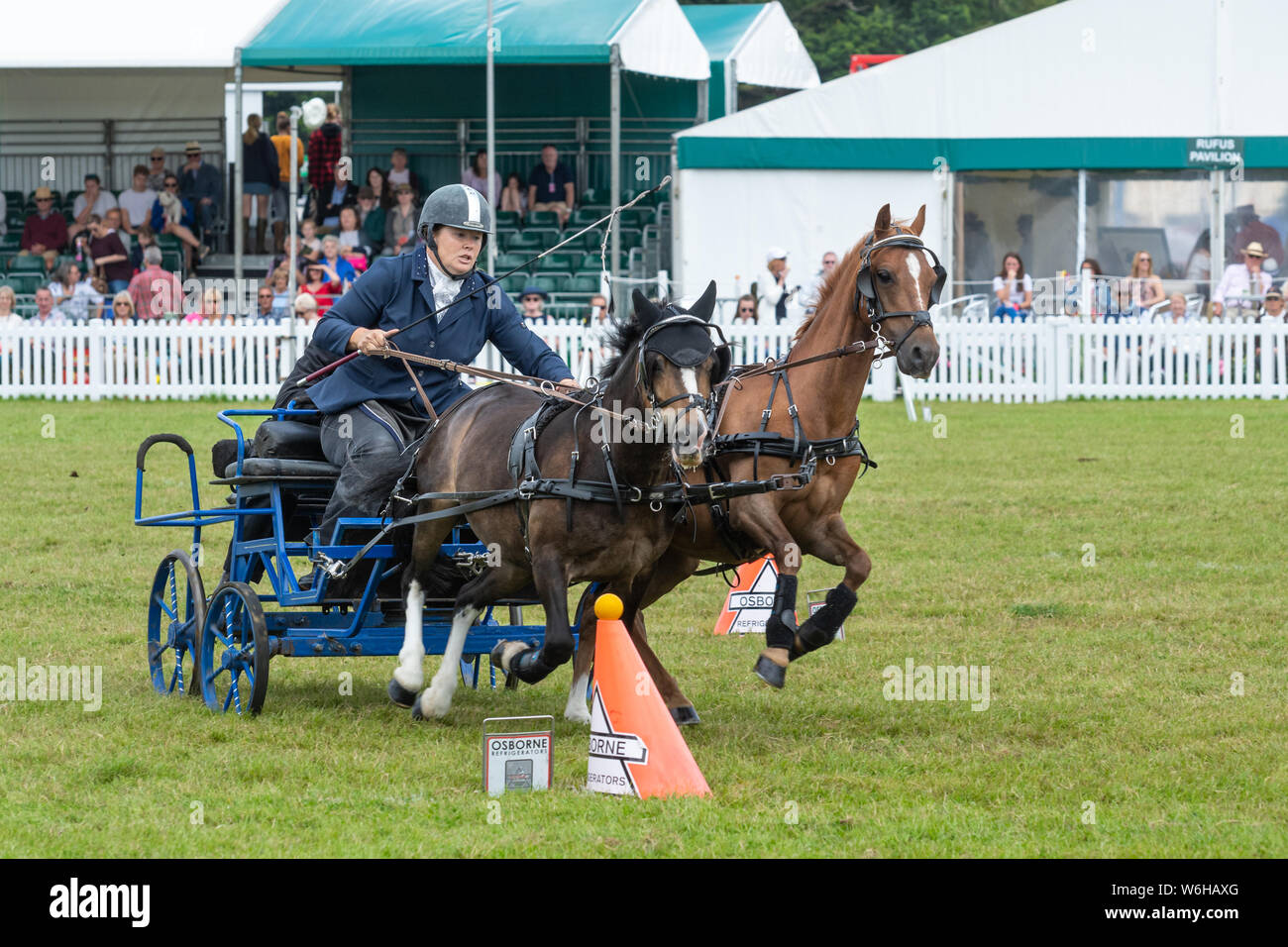 New Forest and Hampshire County Show 2019 - double harness scurry ...