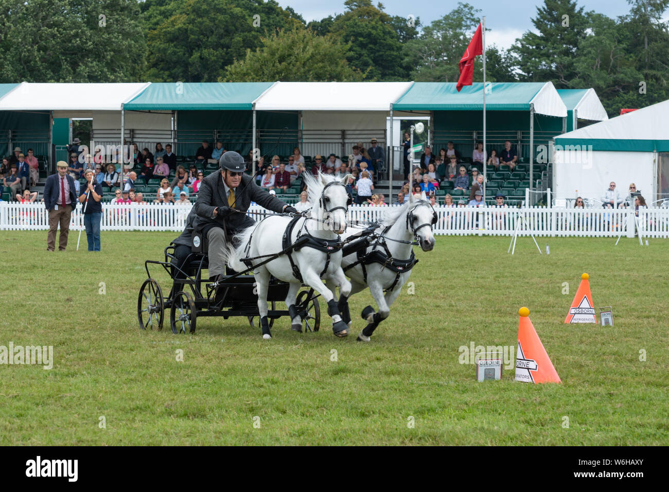 New forest horse race uk hi-res stock photography and images - Alamy