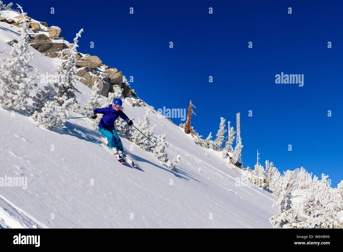Eric Winter Where High Resolution Stock Photography and Images - Alamy