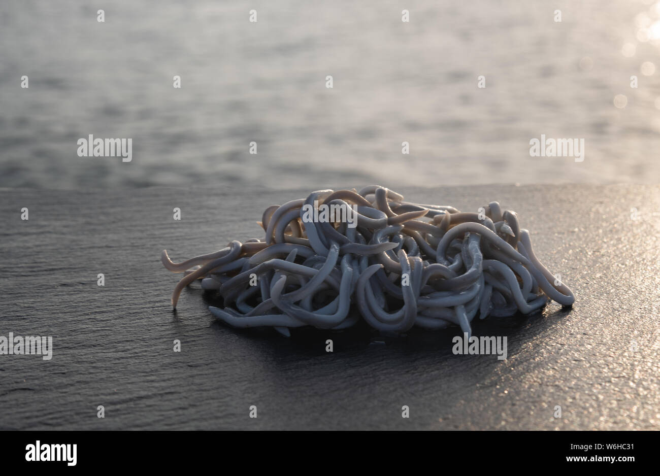 Baby eel dish hi-res stock photography and images - Alamy