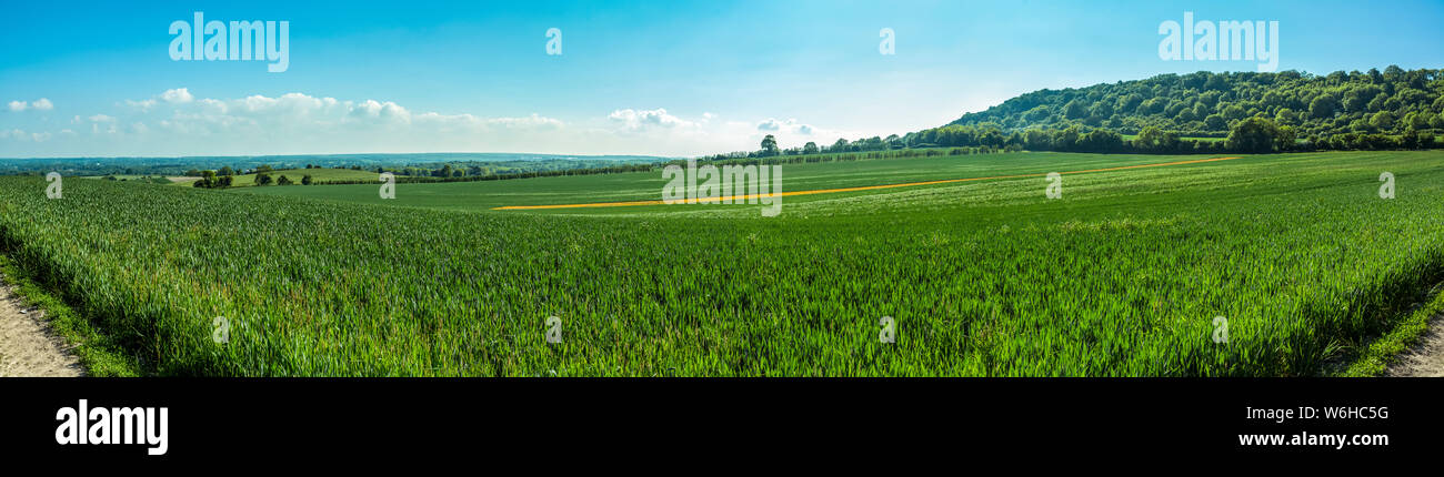 Meopham hi-res stock photography and images - Alamy