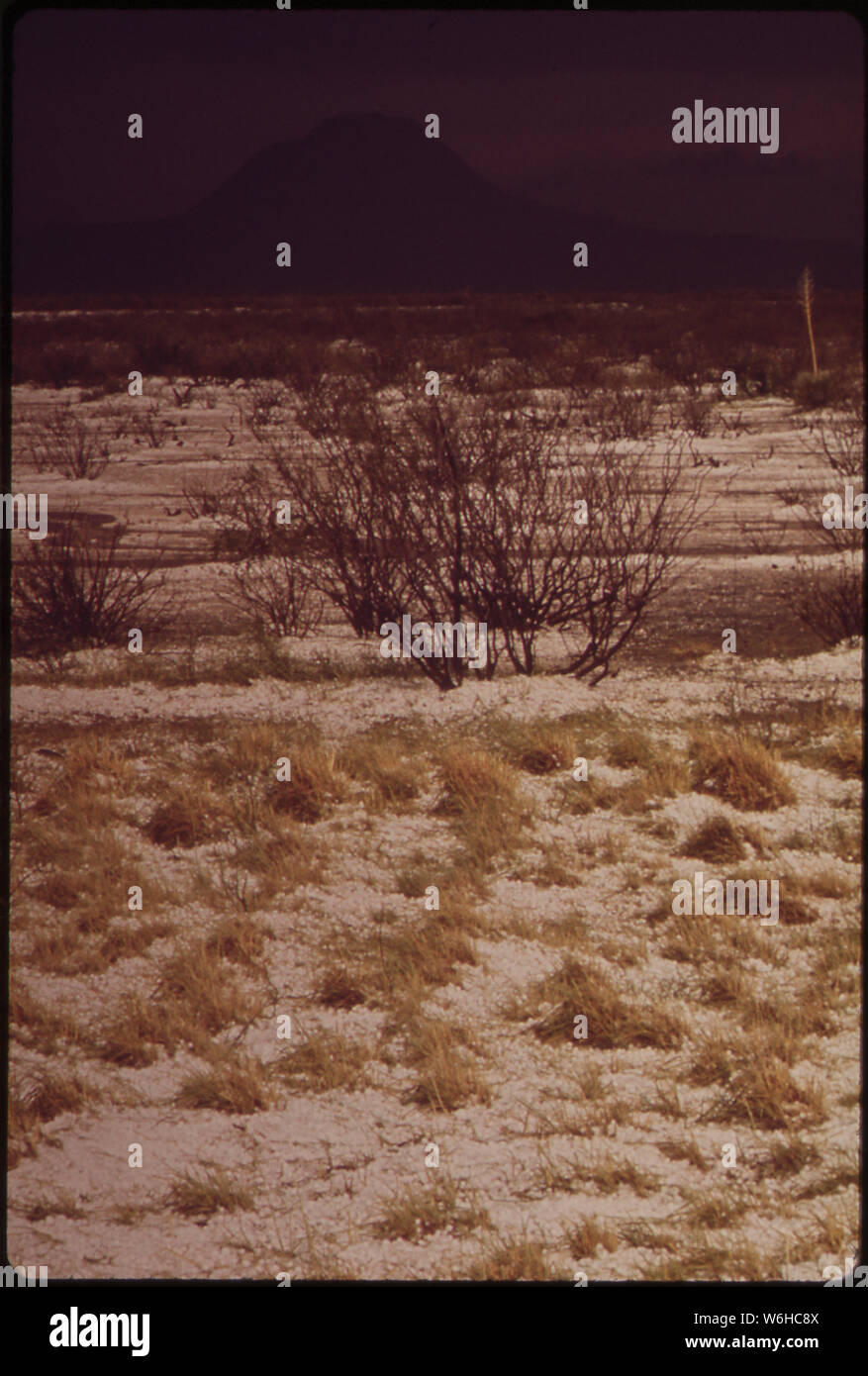 HAIL STORM IN DESERT Stock Photo - Alamy