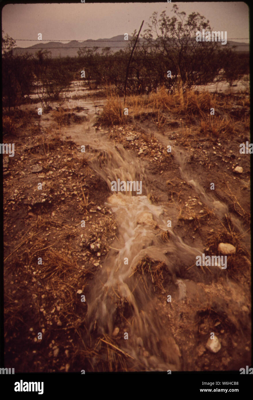 HARD RAIN CAUSES RUN-OFF FROM PASTURE LAND Stock Photo - Alamy