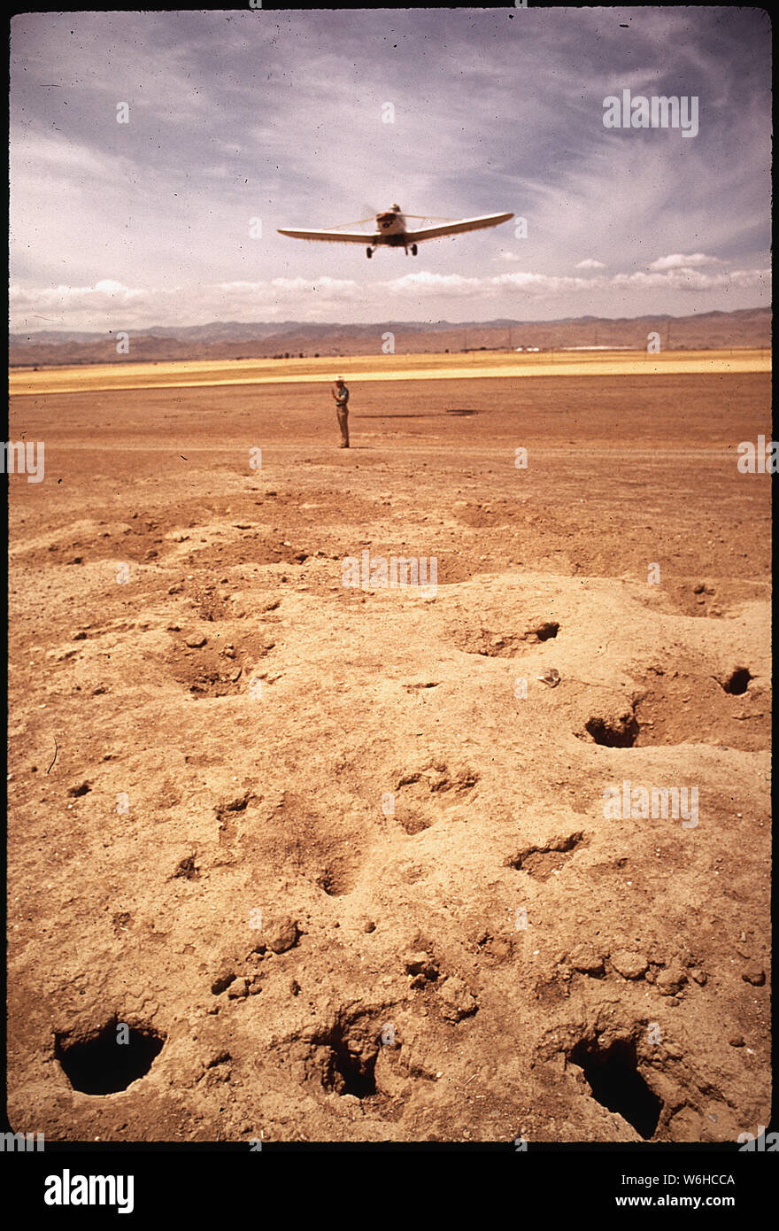 HARMFUL SQUIRREL COLONIES ARE IDENTIFIED BY PILOT AND RELAYED TO ...