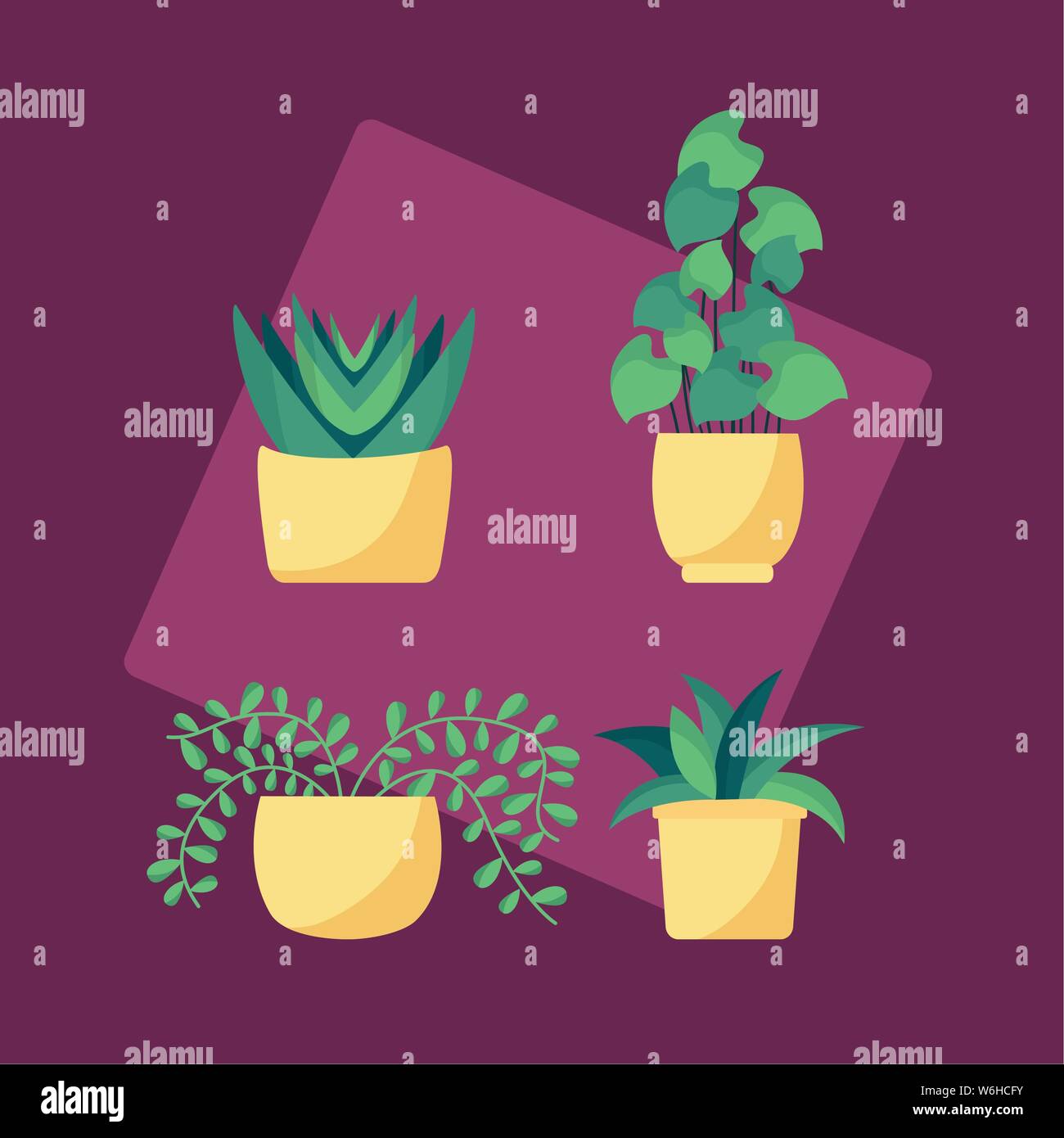 decorative plants flat image design Stock Vector Image & Art - Alamy