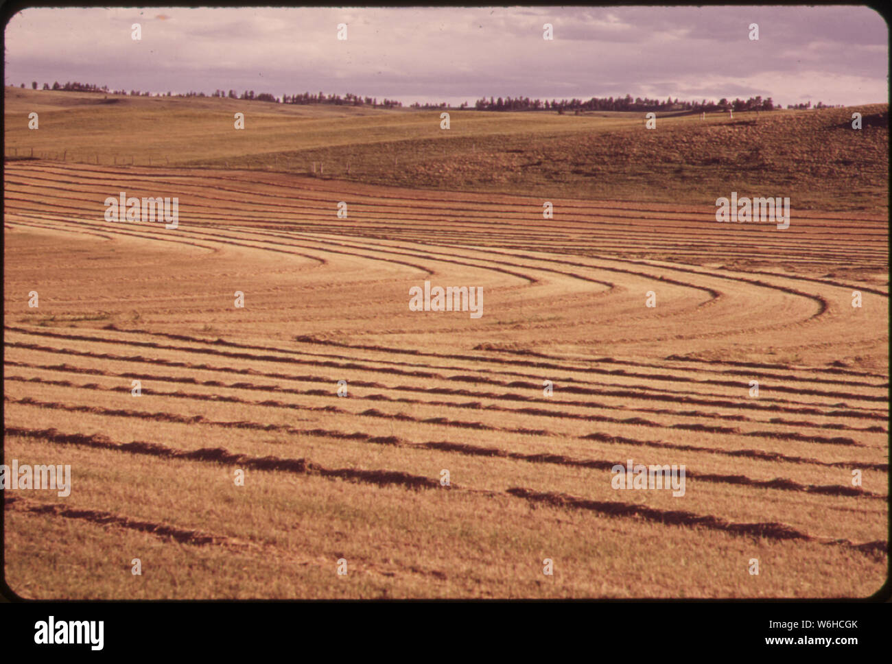 HAY FIELDS ON THE JOHN REDDING RANCH IN THE SARPY BASIN REDDING IS ...