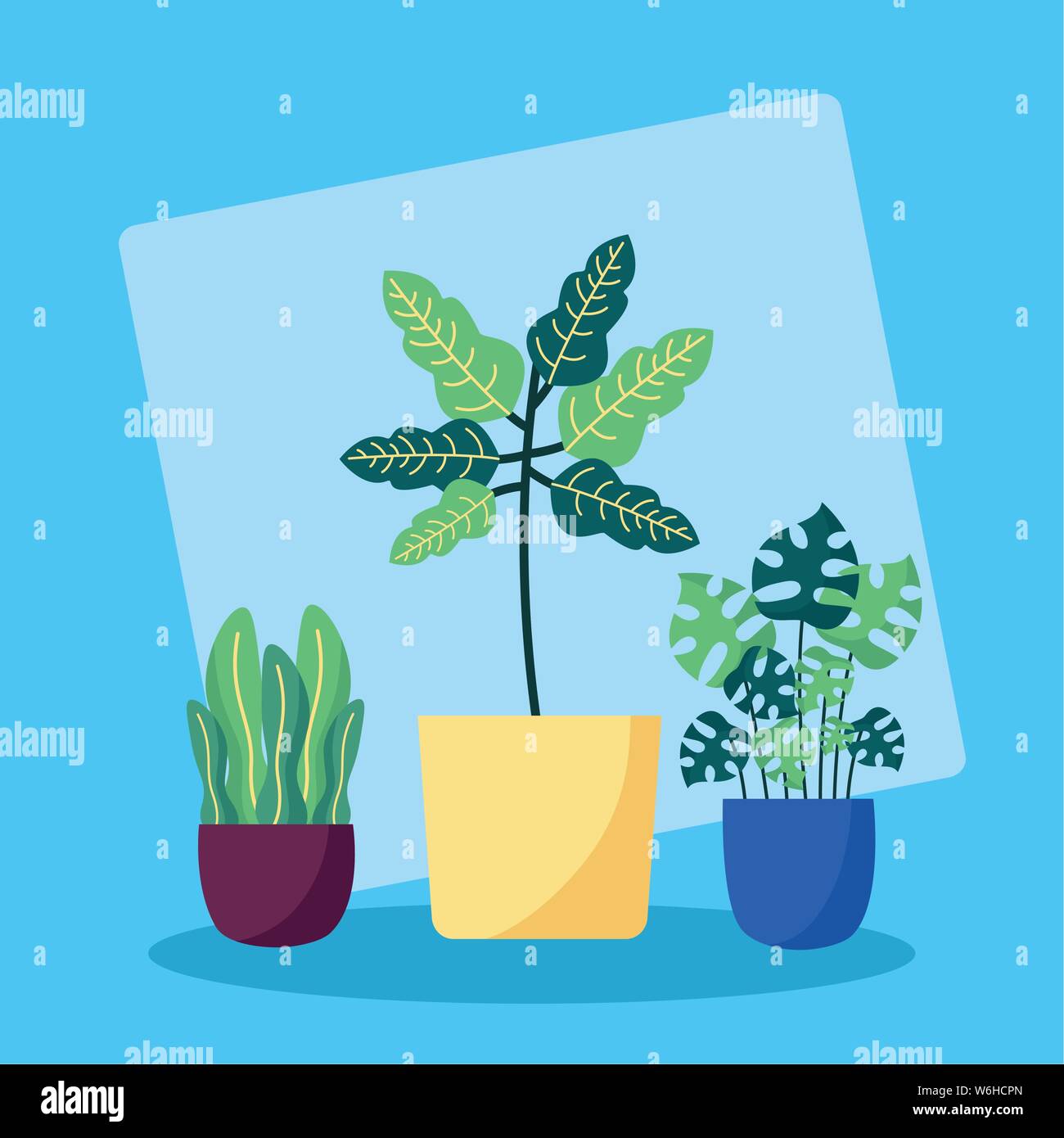 decorative plants flat image design Stock Vector Image & Art - Alamy