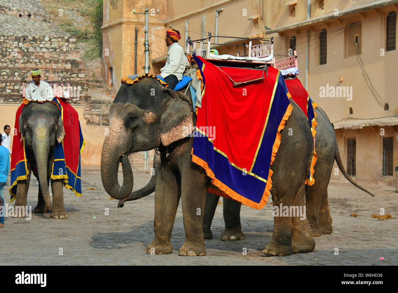 Elephants at the fort, Amer Fort, Amer, India, Asia, UNESCO World ...