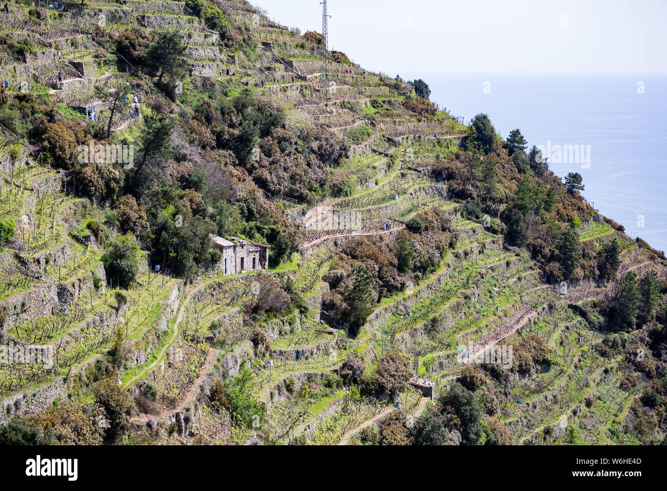 Liguria italia 5 terre hi-res stock photography and images - Alamy