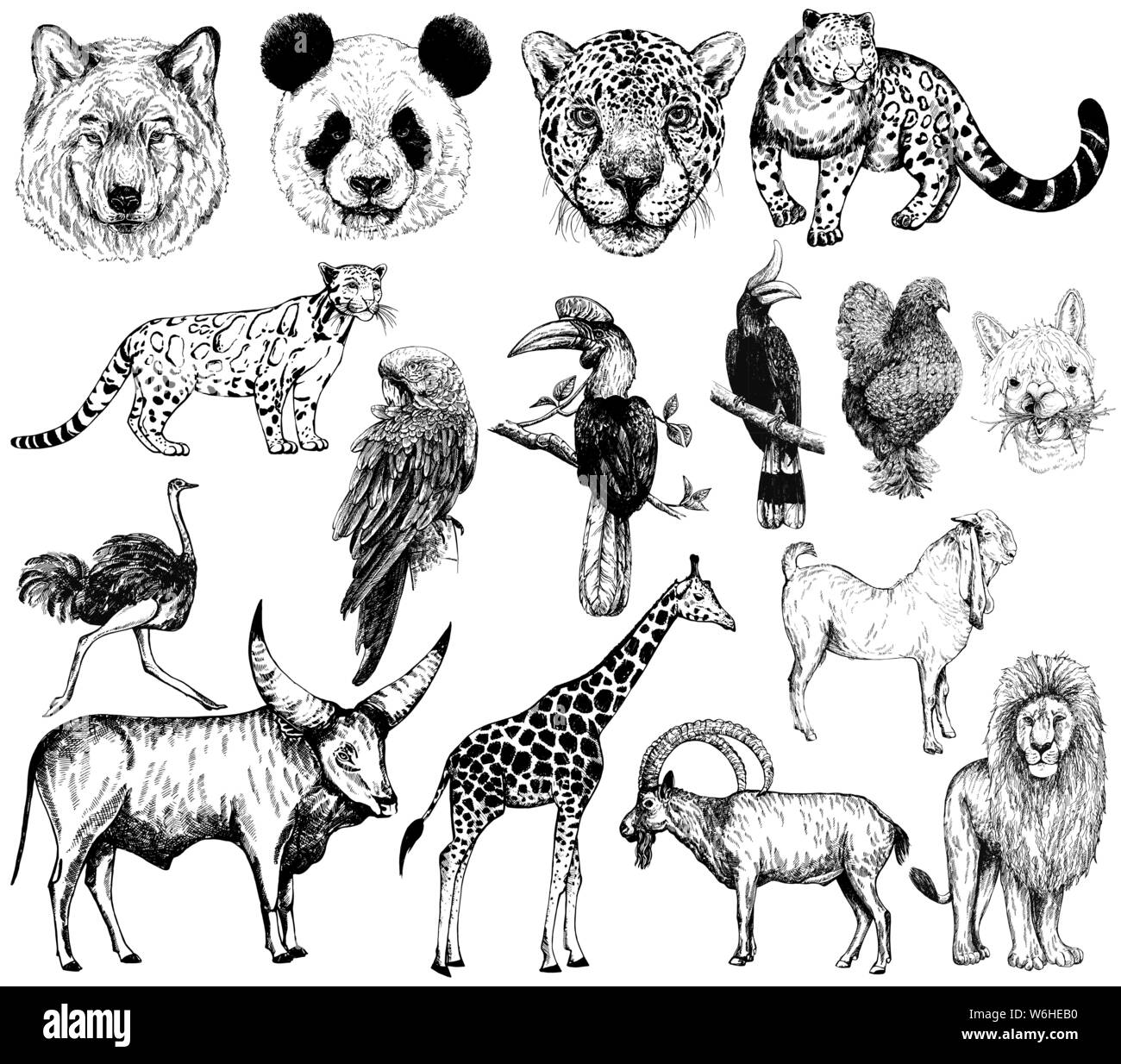 Big set of hand drawn sketch style wild animals isolated on white ...